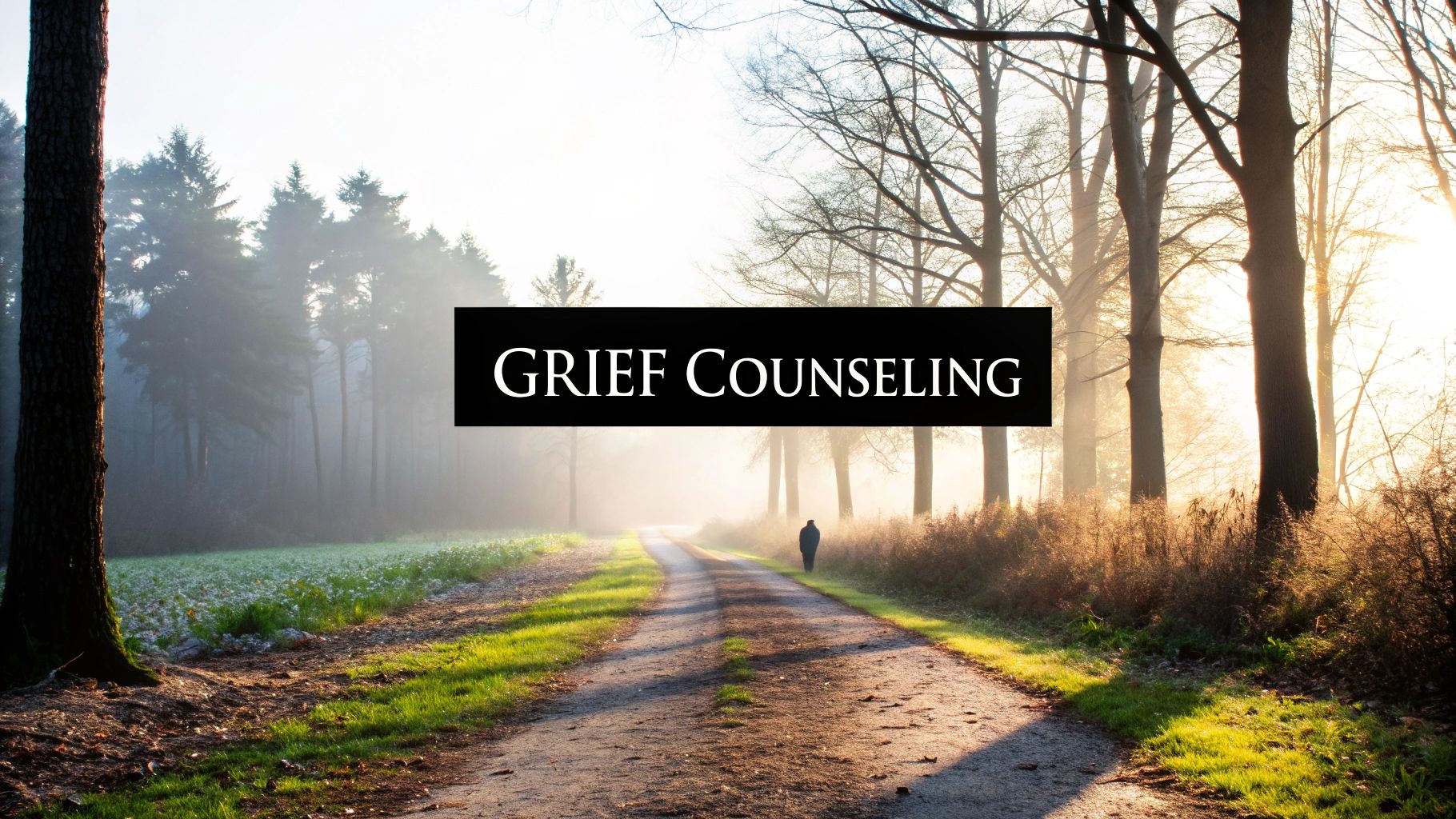 What is Grief Counseling? Find Support & Healing Today – Aerial Ash ...